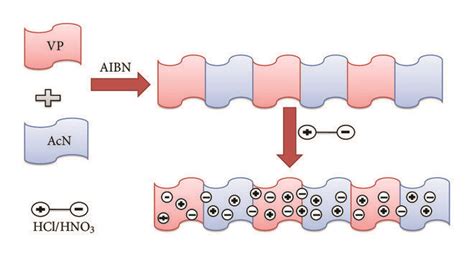 Diagrammatic Representation Of The Series Of Reactions And The Download Scientific Diagram