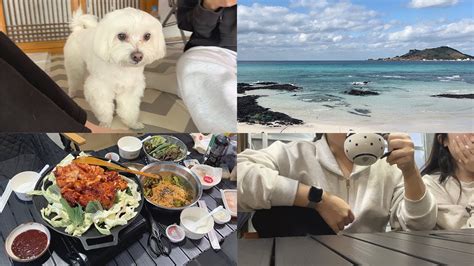 Vlog 1박2일 시골여행 2주동안 백수체험 혼자 제주휴가 다녀오기 퍼킹독감🥲 Youtube