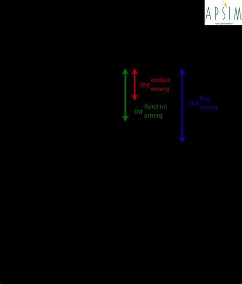 4 Maize Phenological Stages Left With Thermal Time From Top To