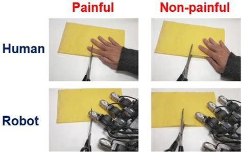 Human To Robot Empathy Is Possible Say Researchers Market Business News