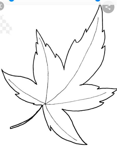 Leaf Pattern Drawing Tutorial