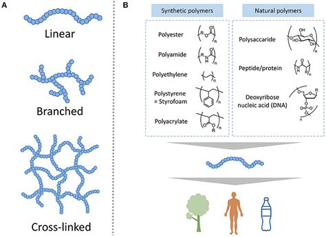 Macromolecules Actually From Plastics To Dna · Frontiers For Young Minds