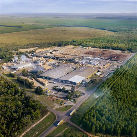 Our Company Hyne Timber