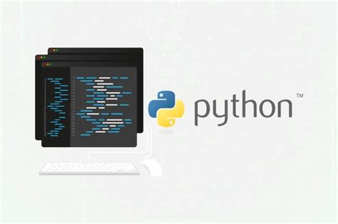 ¿qué Es Python Y Por Qué Es Tan Importante Guía Para Principiantes
