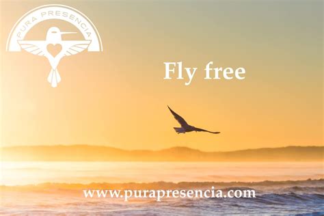 Insights 2023 Baj Péndulos