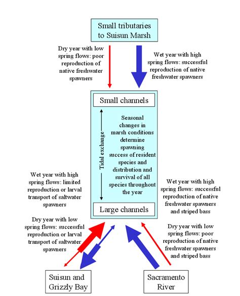 A Conceptual Model For Sources Of Environmental Variability That May Be