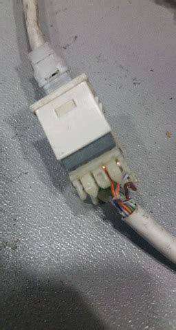 They Said The Internet Stopped Working R Techsupportgore