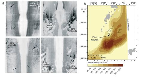 A Examples Of Uncorrected Shipboard Side Scan Sonar Records From Four Download Scientific