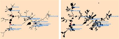Overview Of The Map After The Fourth Iteration Left Image Shows The Download Scientific