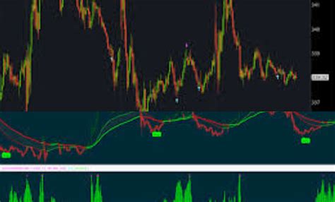 create or modify any script using tradingview pinescript by famous forex01 fiverr