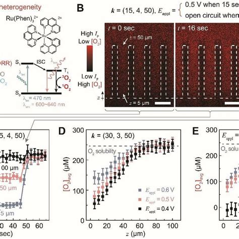 spatiotemporal control of h2o2 gradient on au loaded microwire array a