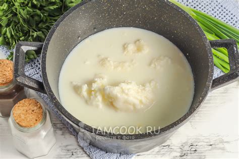 Адыгейский сыр на сыворотке — рецепт с фото пошагово