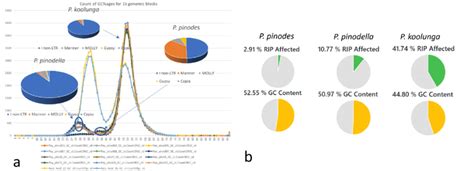 repeat analysis a gc content variation among ab species with the