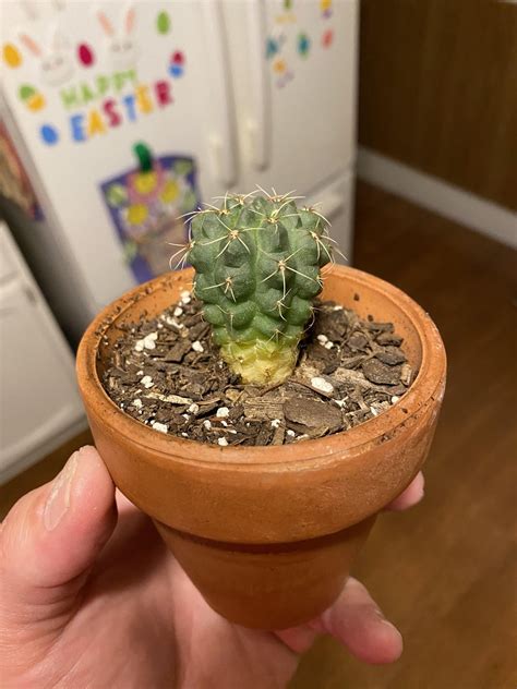 Im Finding Out How Little I Truly Know And Could Use Some Helpadvice With This Unknown Aldi