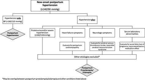 Postpartum Preeclampsia Or Eclampsia Defining Its Place And Management Among The Hypertensive
