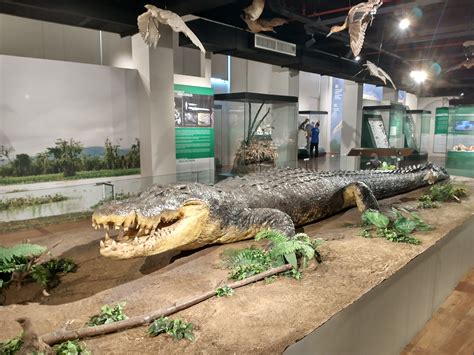 Buwaya Lolong