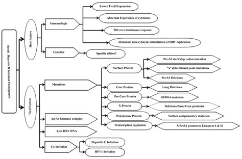 An Algorithm Is Showing The Hypothesized Pathogenesis Of Occult