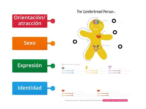 Genderbread Labelled Diagram