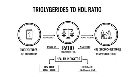 Discover Your Triglycerides Hdl Ratio For A Longer Healthier Life