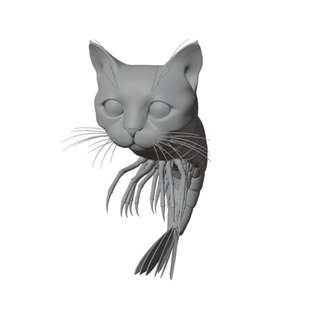 🐱 Trippi Troppi 3d Model Stl Cursed Cat Shrimp Hybrid For 3d Printing