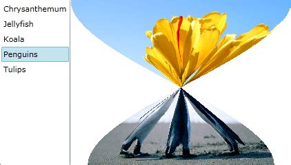 WPF TransitionControl Transitions Telerik UI For WPF