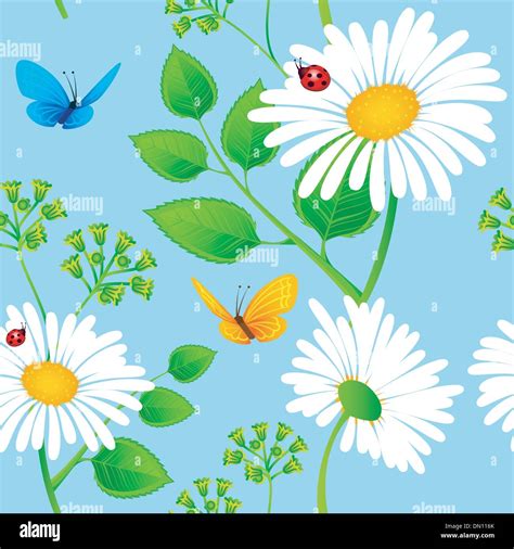 Chamomile Background Stock Vector Images Alamy