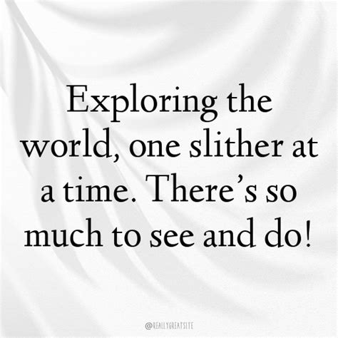 164 Python Captions For Instagram In 2025