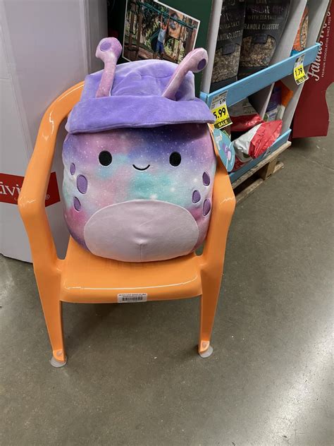 Summer Vibes R Squishmallow