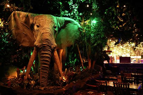 Californias Last Rainforest Cafe Clings To Life In An Aging Mall