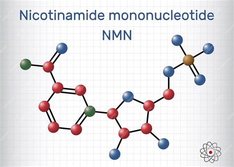 Premium Vector Nicotinamide Mononucleotide Nmn Molecule Imolecule
