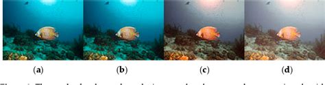 Figure 3 From A Fusion Underwater Salient Object Detection Based On