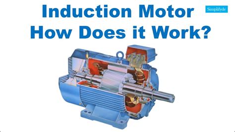 Induction Motor How Works Three Phase Induction Motor Construction