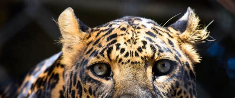 What Does It Mean To Truncate A Number