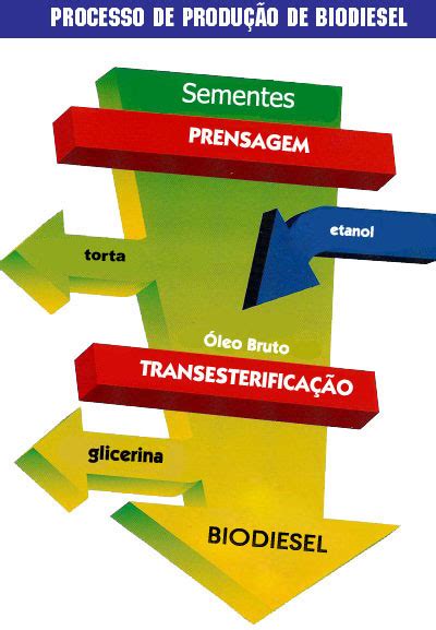 Processo De Produção De Biodiesel