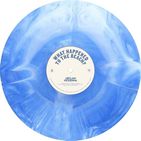 Declan Mckenna What Happened To The Beach Metal Detector Edition