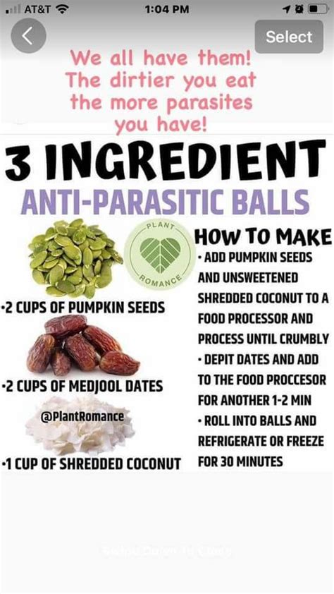 Best 13 How To Get Rid Of Parasites And Keep Them Away With Dr Jay