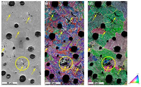 On The Formation Of Micro Shrinkage Porosities In Ductile Iron Cast