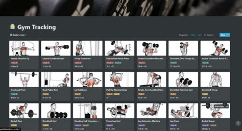 Monthly Gym Tracking Template R Notion