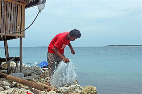 Odette Aftermath Snapshot The Islands Source Of Life Action Against Hunger