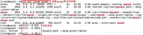 Mariadb的简单入门 Csdn博客