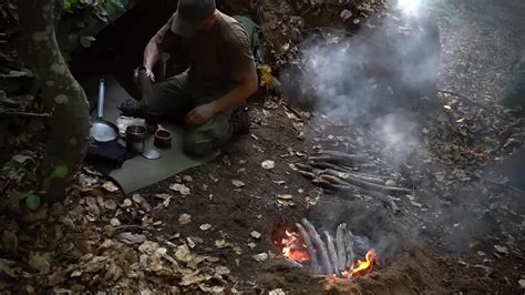 Wild Camp In The Forest Excavated A Natural Shelter At A Large Tree
