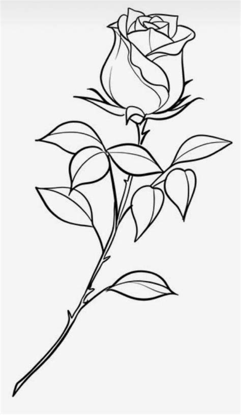 Simple Rose Drawing Rose Outline Rose Stencil Roses Drawing Tattoo