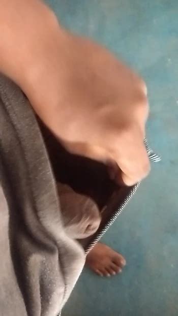 Nehathakors Porn Videos And Reels Nude Photos And Bio On Xhamster