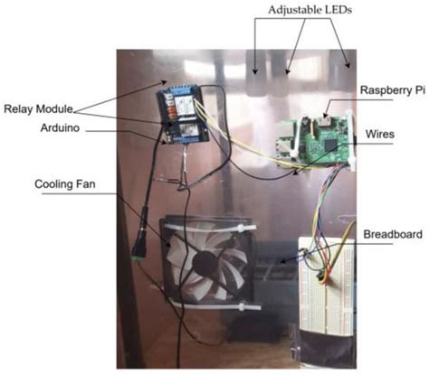 Hybrid Plant Growth Integrating Stochastic Empirical And