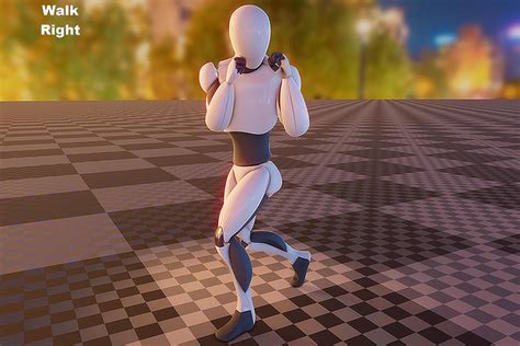 Boxing Animation Package