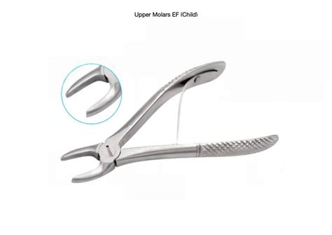 Dental Forceps Upper Molars And Wisdom Teeth Izal Medical Istruments