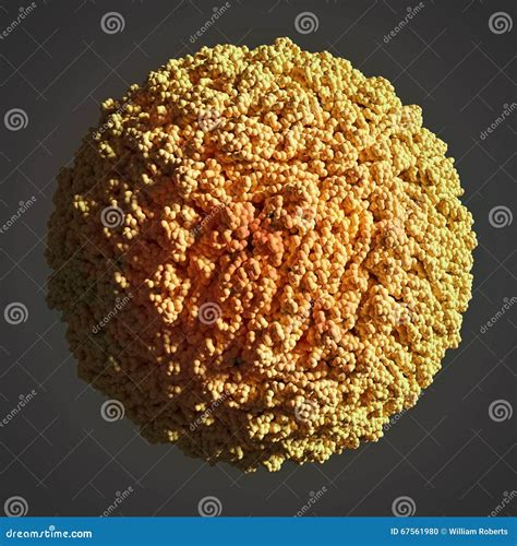 Dengue Virus Structure Stock Illustration Illustration Of Cancer 67561980