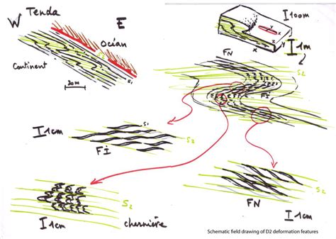 21 Schematic Field Drawings Of D2 Deformation Structures Along The