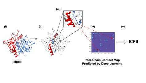 A Simplified Illustration Of The Icps Calculation I A Dimer Model Download Scientific