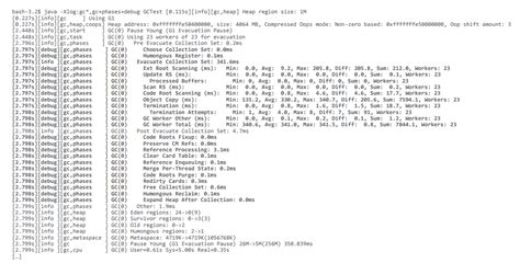 Proliferation Caused By Java Unified Gc Logging Stacktips